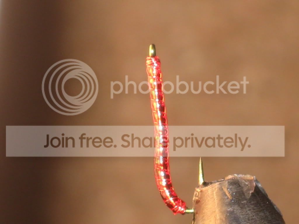 Bloodworm patterns | BC Fly Fishing Forums