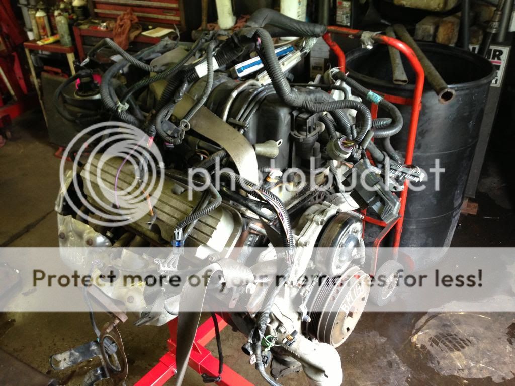 New 01 Impala Owner L36 | Impala Forums